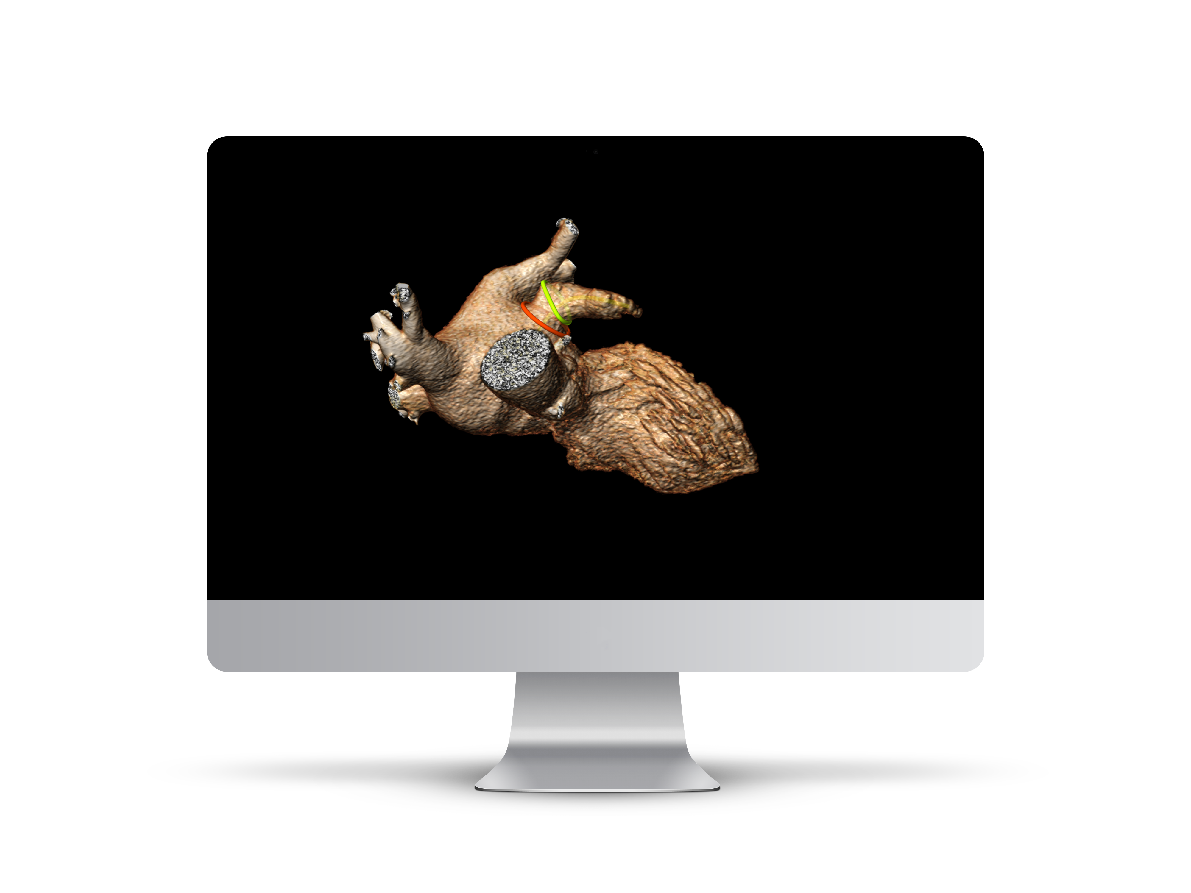 3mensio Structural Heart